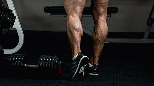 Muscolo Gastrocnemio: anatomia, funzioni e come allenarlo | Xathlete